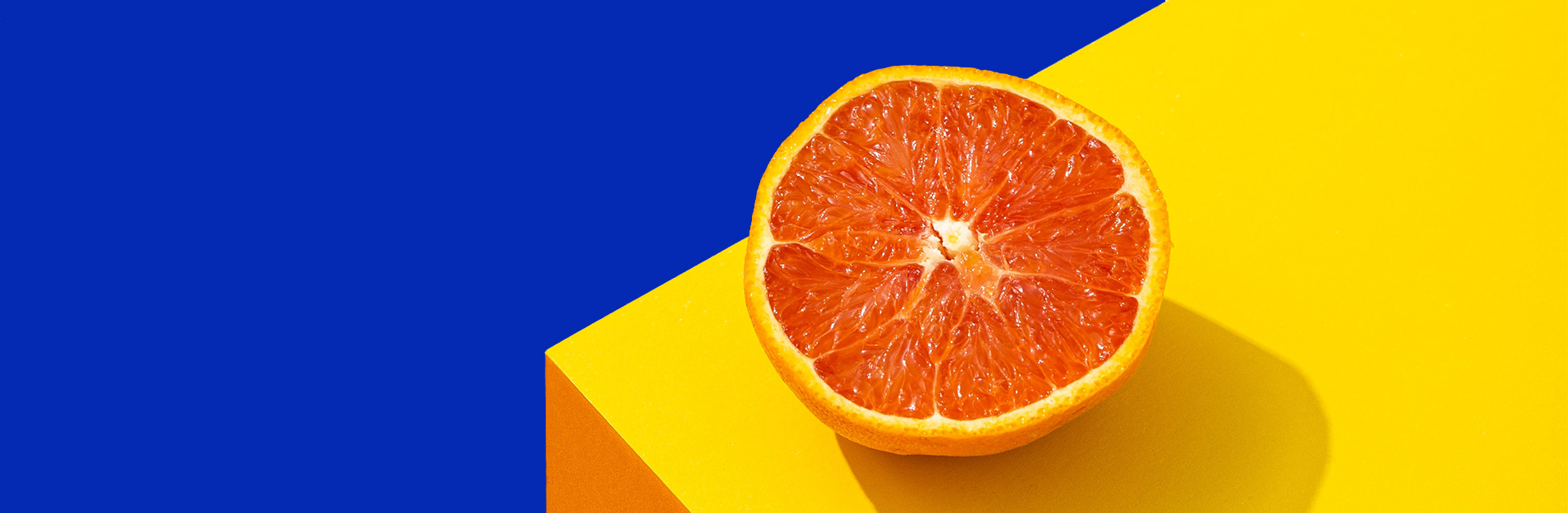 03 - New Design Group Inc.