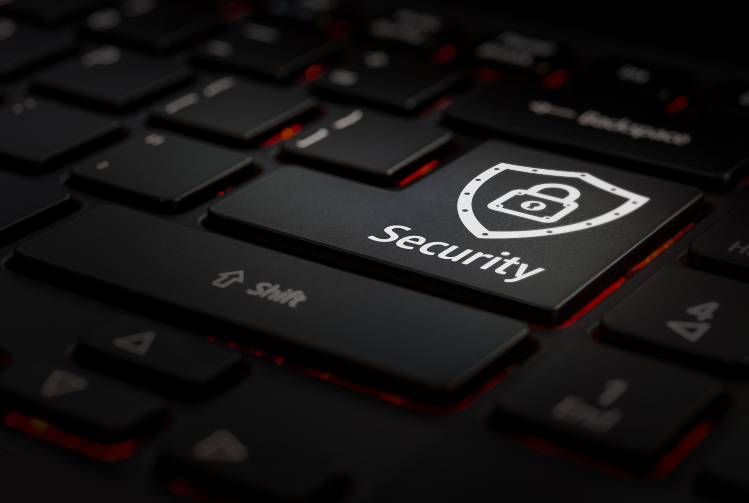WordPress Nested Pages Vulnerability with High Security - Details